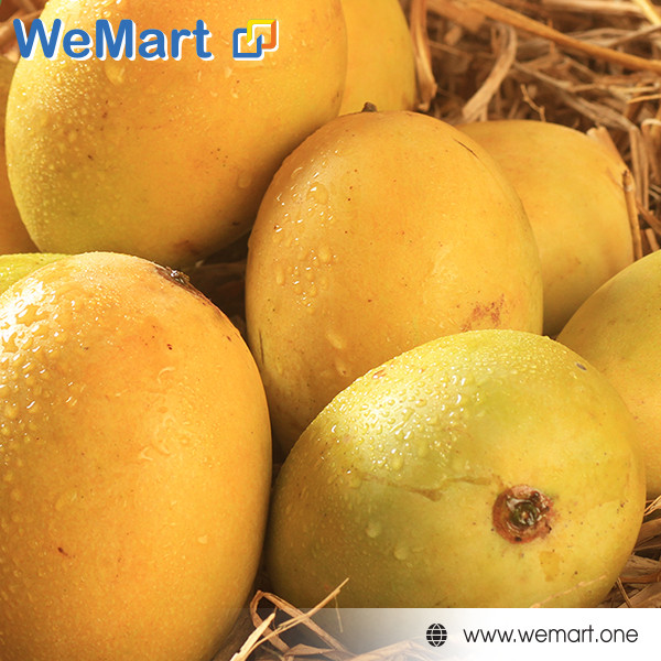 xoài Flan thung 10kg